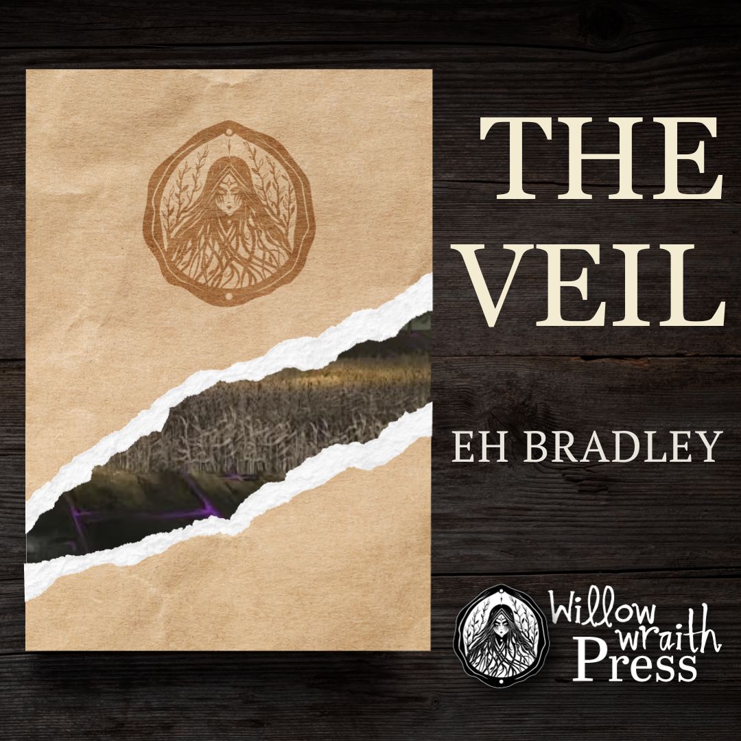 SHADESILVER BOOK ONE – Willow Wraith Press
